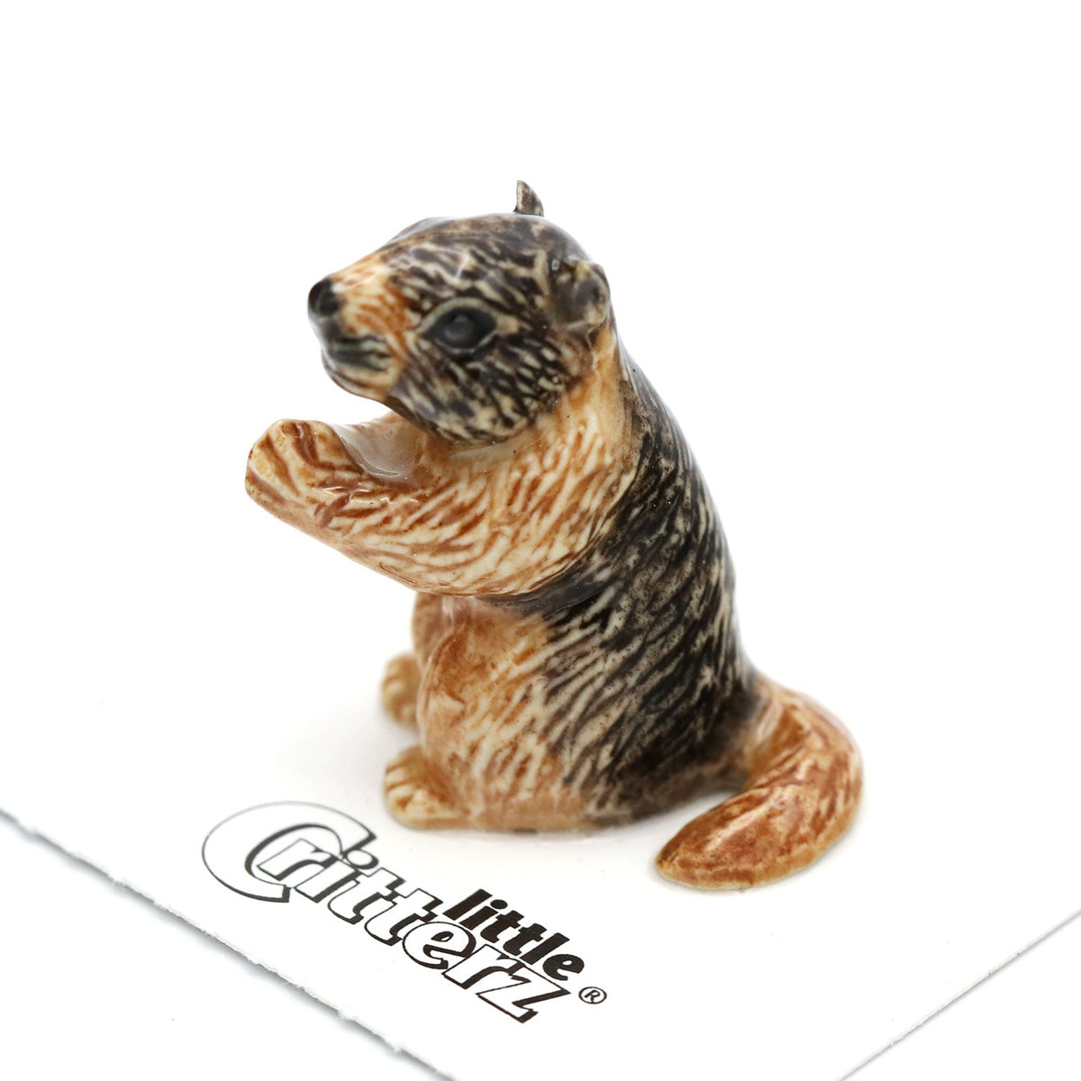 Prize Collectible Porcelain Yellow Bellied Marmot - Little Critterz