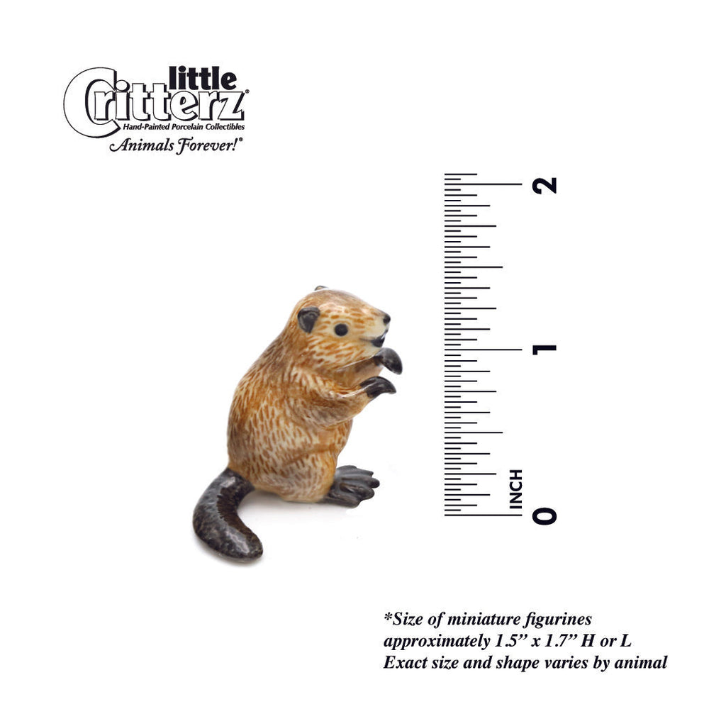 Special Offers — Little Critterz