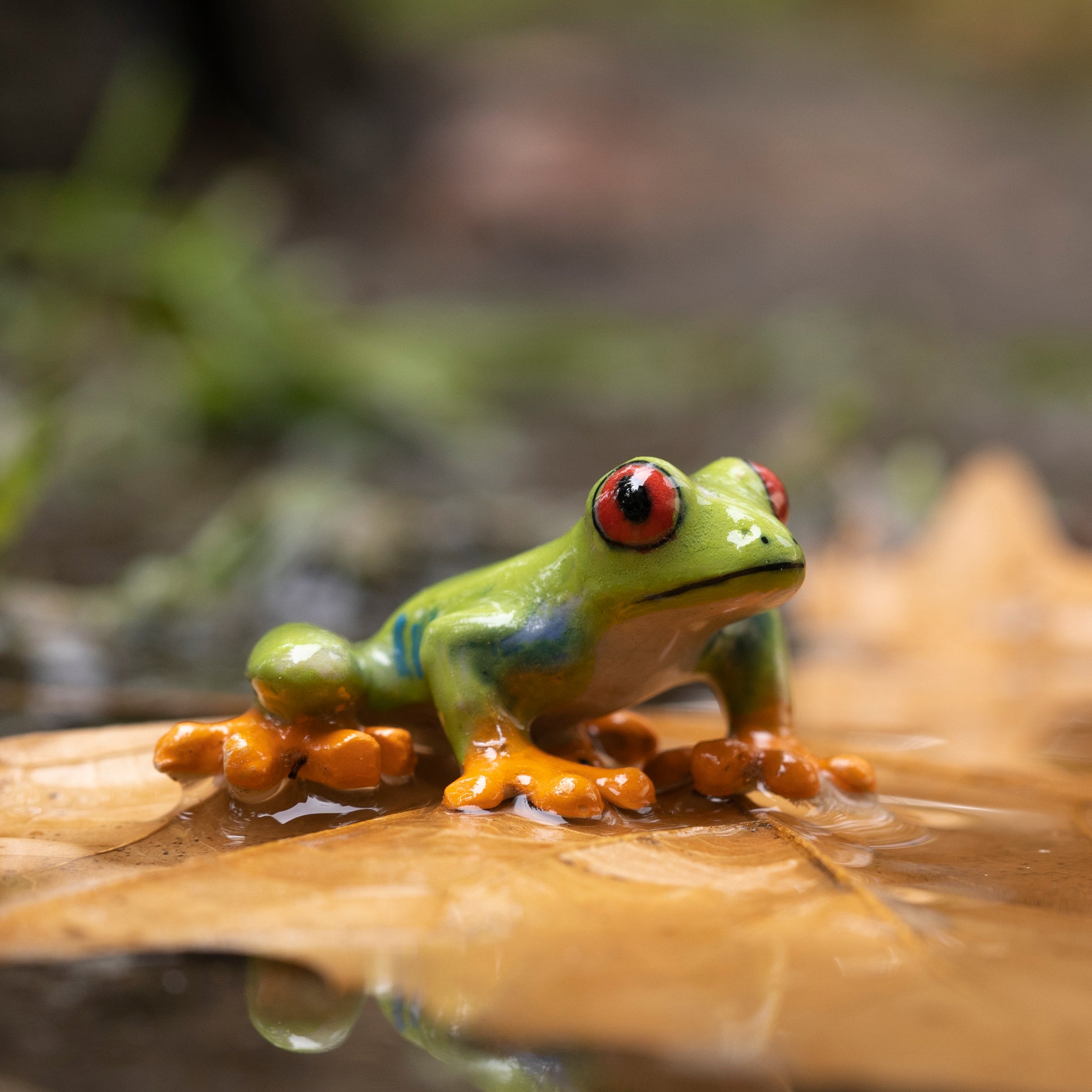 Porcelain Red-Eyed Tree Frog - Handcrafted Miniatures - Little Critterz