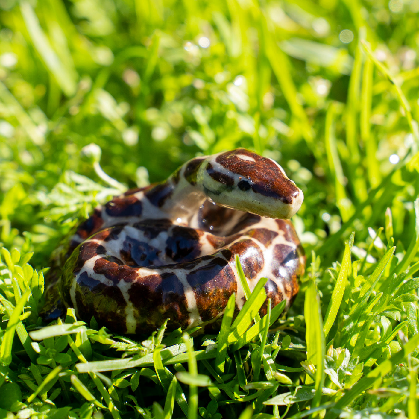 Burmese Python (Snake Figurines) - Little Critterz