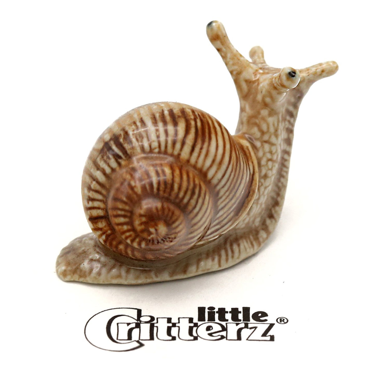 Porcelain Garden Snail Miniature - Little Critterz