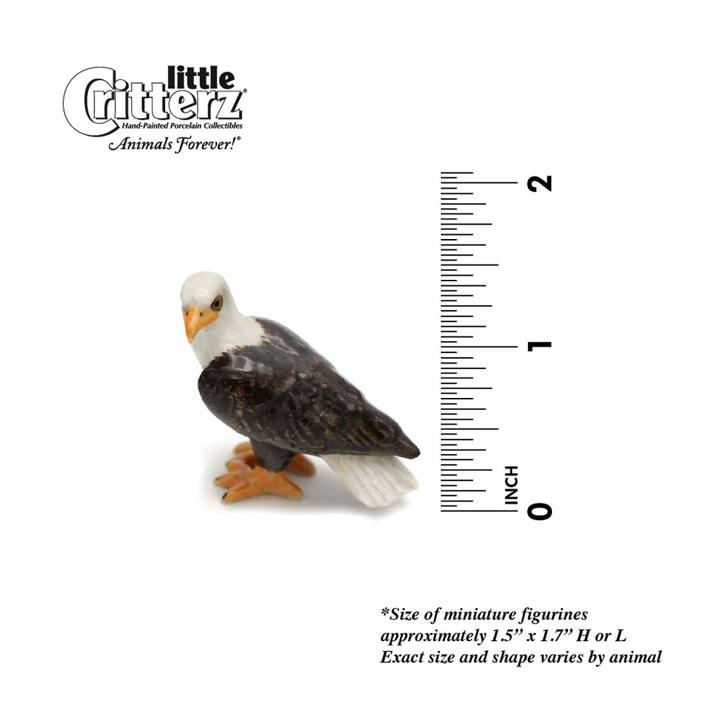 Special Offers — Little Critterz